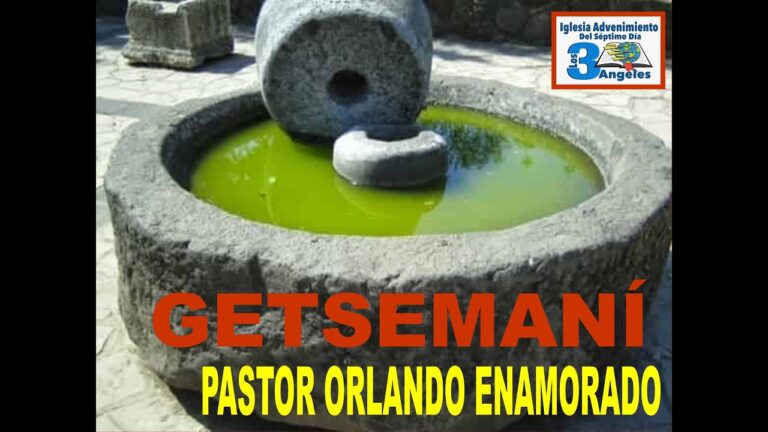 Significado bíblico de Getsemaní - Evangélico - Todo sobre la Biblia