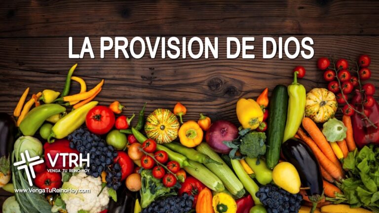 Significado de provisión en la Biblia - Evangélico - Todo sobre la Biblia