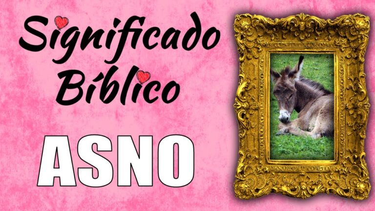 El simbolismo del asno en la Biblia y su significado espiritual ...